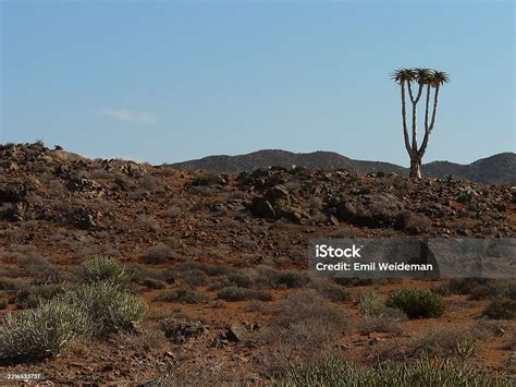 구름 한 점 없는 탁 트인 하늘 아래 먼 언덕으로 둘러싸인 고요한 사막 환경의 바위가 많은 지형 한가운데에 홀로 서 있습니다 0