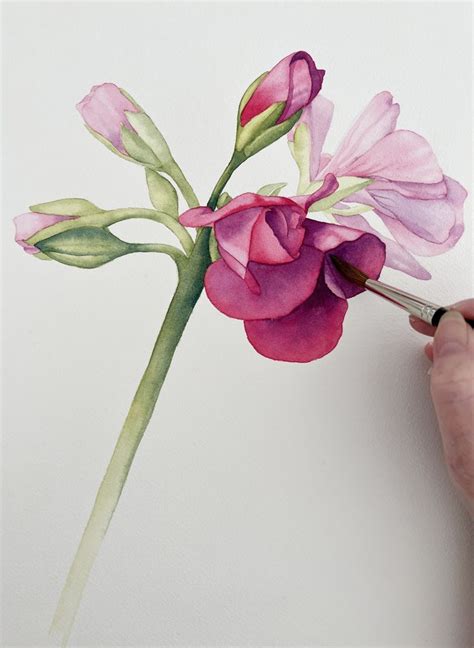 A Person Is Painting A Flower With Watercolors