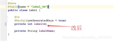 简单总结关于springboot通用mapper， table注解，＜resultmap＞标签使用的注意点 table注解的作用 csdn博客