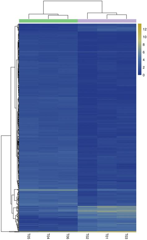hierarchical clustering of differentially expressed genes the heatmap