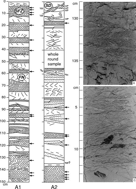 Figure 1 From Scaly Fabrics In Sheared Clays From The Décollement Zone Of The Barbados