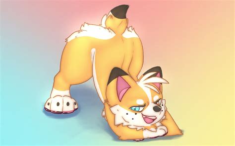 Rule 34 Anthro Anthro Only Bedroom Eyes Corgi Corgi Corgicam
