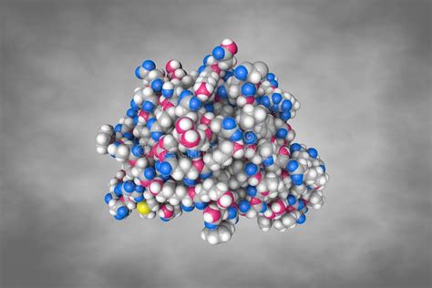 Human Heat Shock Protein Hsp 90 Alpha Atoms Are Shown As Spheres With