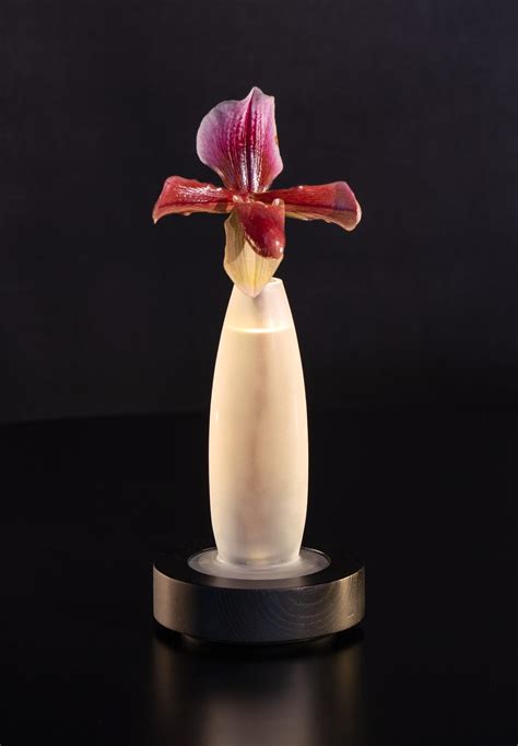 Serax Vase With Light Lys Medium The Design Lover