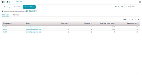 Batch Job Monitoring Heal Software Inc