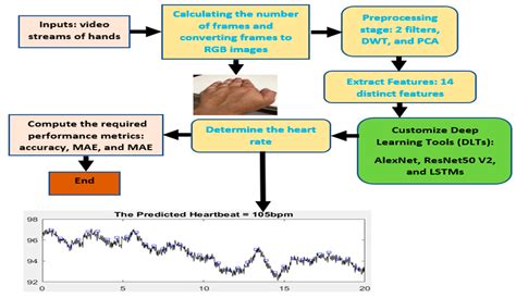 healthcare free full text a model to predict heartbeat rate using