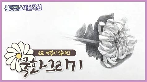 기초 소묘 Pencil Drawing 국화 그리기 국화 개체 소묘 분당 쎈스 미술학원 예중예고 입시전문 취미미술