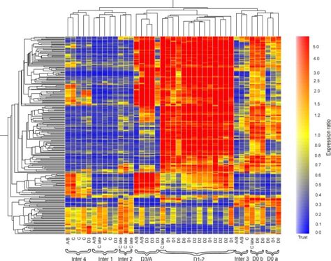 Condition Tree Of Transcripts Significantly Differentially Expressed