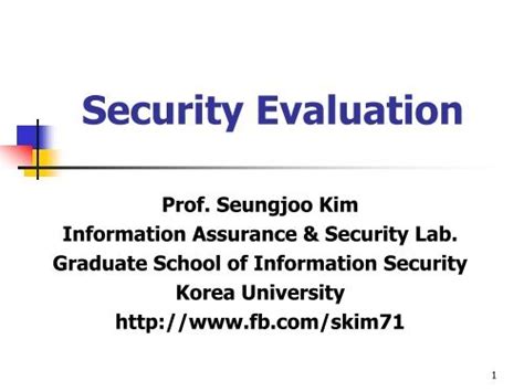 6 security evaluation pdf