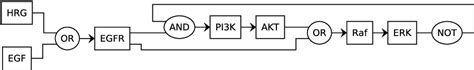 Figure 1 From Enhancing Boolean Networks With Fuzzy Operators And Edge Tuning Semantic Scholar