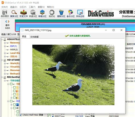 Sd卡变成了raw格式怎么办？数据如何恢复？