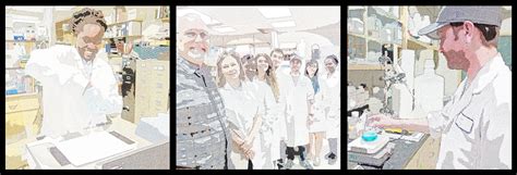 Cell Signalling Laboratory University Of Saskatchewan