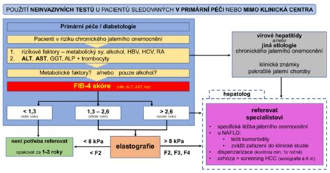 Fib 4 Skóre Fib4 Krajská Nemocnice Liberec