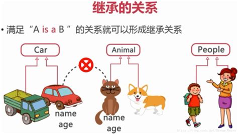 Java 继承 阿里云开发者社区