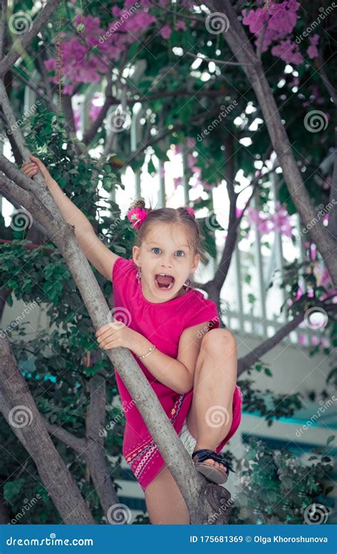 Kid Having Fun In A Tree Stock Image Image Of Safety