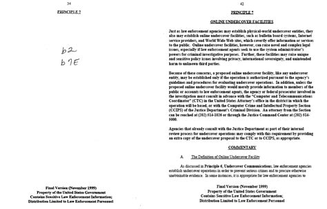 The Department Of Justices Principles For Conducting Online Undercover