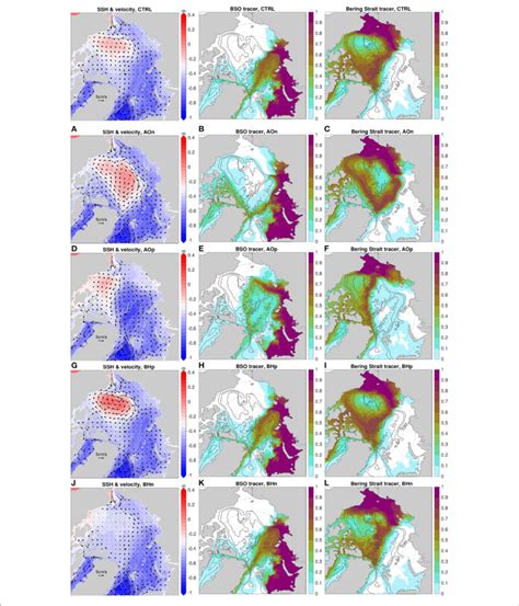 Left Sea Surface Height Ssh And Upper 150 M Mean Velocity In The