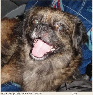 OpenCV基本阈值操作 w cschool