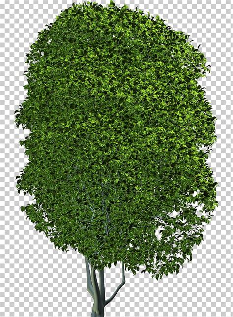 Foundation Blender Compositing Tree Png Clipart Book Cloud Computing
