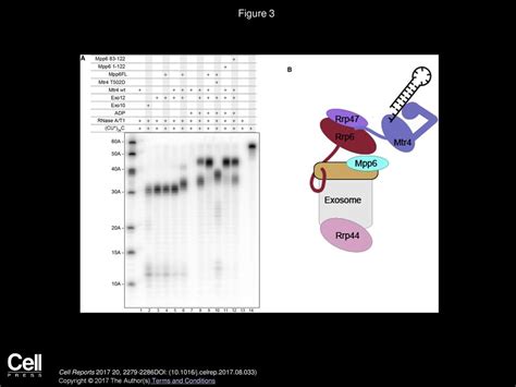 Volume 20 Issue 10 Pages September 2017 Ppt Download