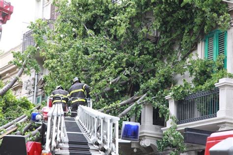 Messina Raffiche Di Scirocco Fino A 90km H Sradicano Un Grosso Albero