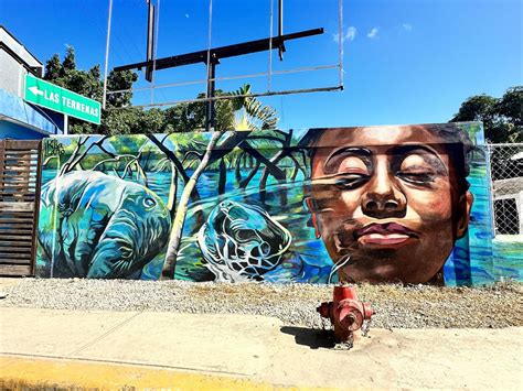 El Limon Dominican Republic Rstreetartporn