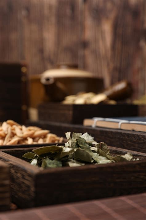 淫羊藿中药材中草药中药摄影图
