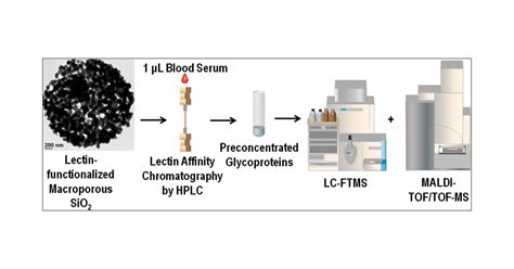 Sub 2 μm Macroporous Silica Particles Derivatized For Enhanced Lectin Affinity Enrichment Of