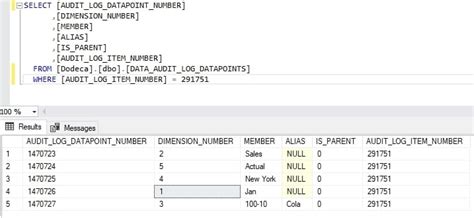 Dodeca Data Audit Log Setup Part One Applied Olap