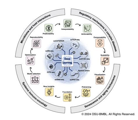 Single Cell Deep Learning BMBL BMBL