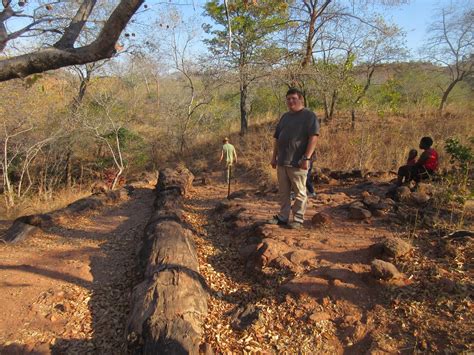 Chirundu Fossil Forest Awe Inspiring Places