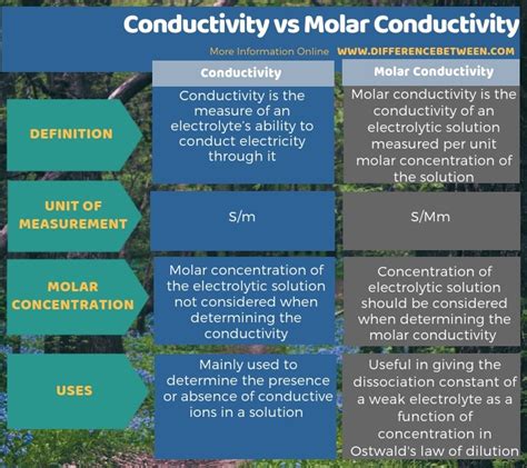 Difference Between Grinder And Molar At Miranda Churchill Blog