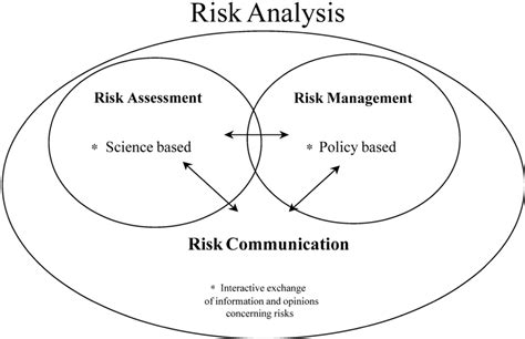 The Risk Analysis Framework Download Scientific Diagram