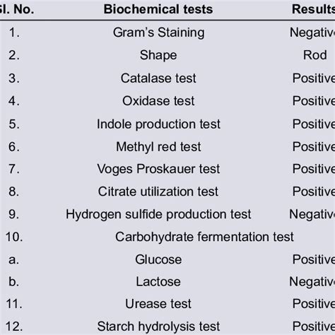 Results Of Sn01 Strain Towards Biochemical Tests Download Scientific Diagram