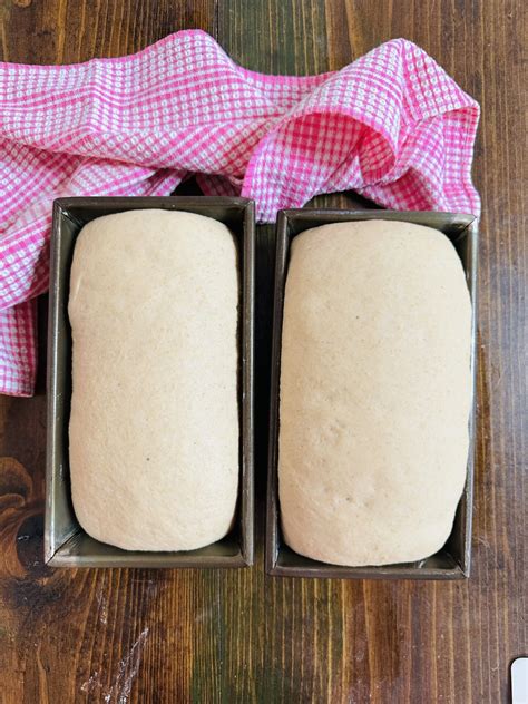 Bread Lasts Longer With This Old Time Technique Potato Sponge Bread