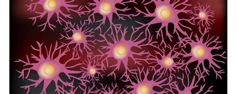 Ms Research May Benefit From New Way Of Growing Astrocytes From Stem Cells