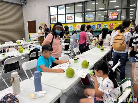 麻農攜手北勢國小 走訪柚園落實食農教育 鑫傳國際多媒體科技股份有限公司 Tdn台灣生活新聞