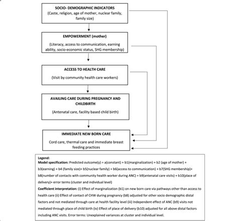 Conceptual Framework Determinants For Newborn Care By Rural Women