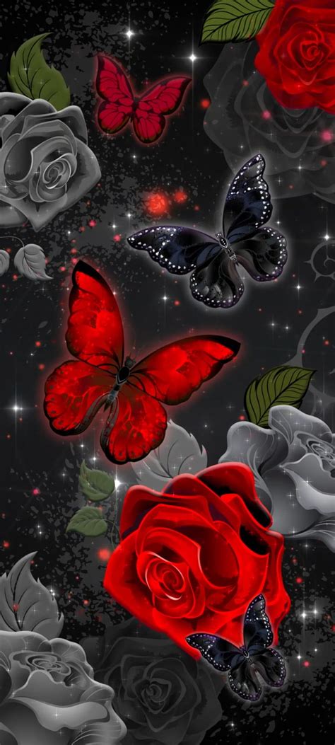 Red Rose And Butterfly Beautiful Petal Nature Dark Premium HD