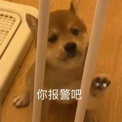 表情包来了 哈哈爷气死你 这次是真的有被生活伤到……