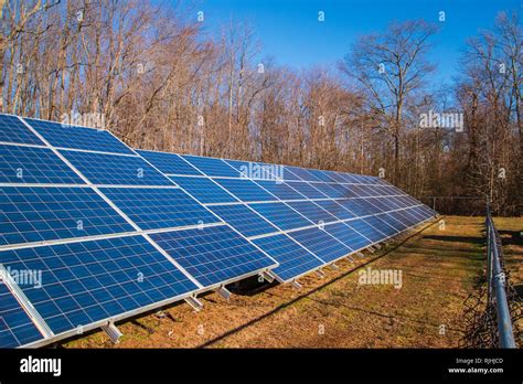 Solar Panels Trees High Resolution Stock Photography And Images Alamy