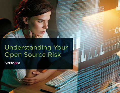 Understanding Your Open Source Risk It Pro