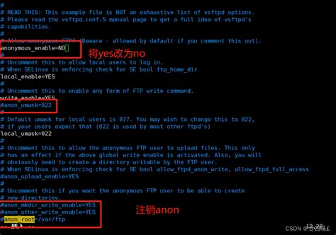 【linux网络】ftp服务 linux ftp csdn博客