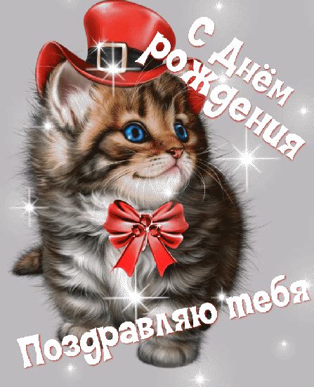 Картинки с надписями С днём рождения поздравляю тебя От котика в шляпе
