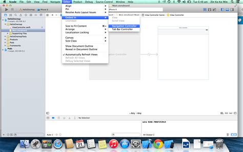 Using Onemap Address Search In Ios App Brain Dump