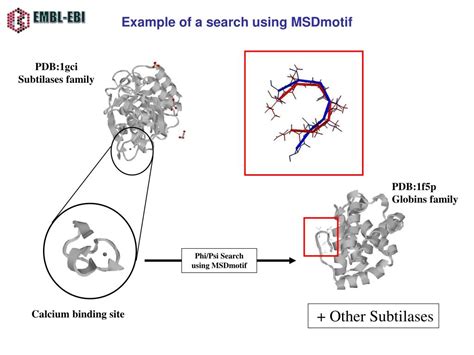 ppt extracting and exploiting structural patterns in proteins