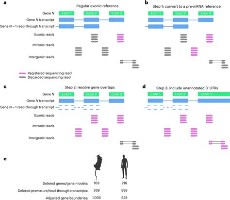Strategy For Compiling An Optimized Transcriptomic Reference A