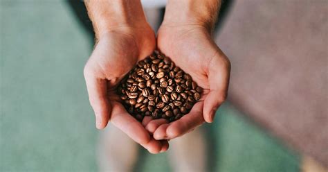 How To Crop In Snipping Tool Snip And Sketch La De Du