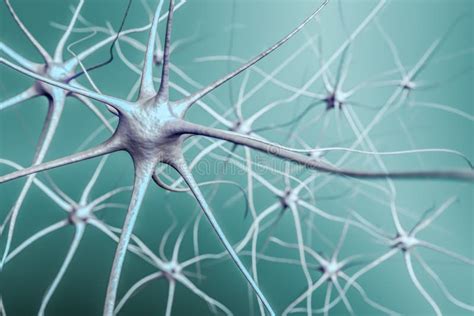 Neurons In Brain 3d Illustration Of Neural Network Stock Illustration