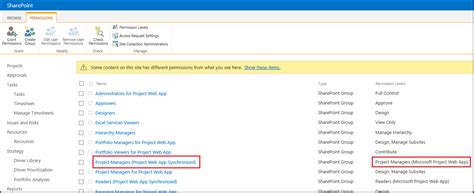 Managing Project Web App Site Permissions In Project Online And Project